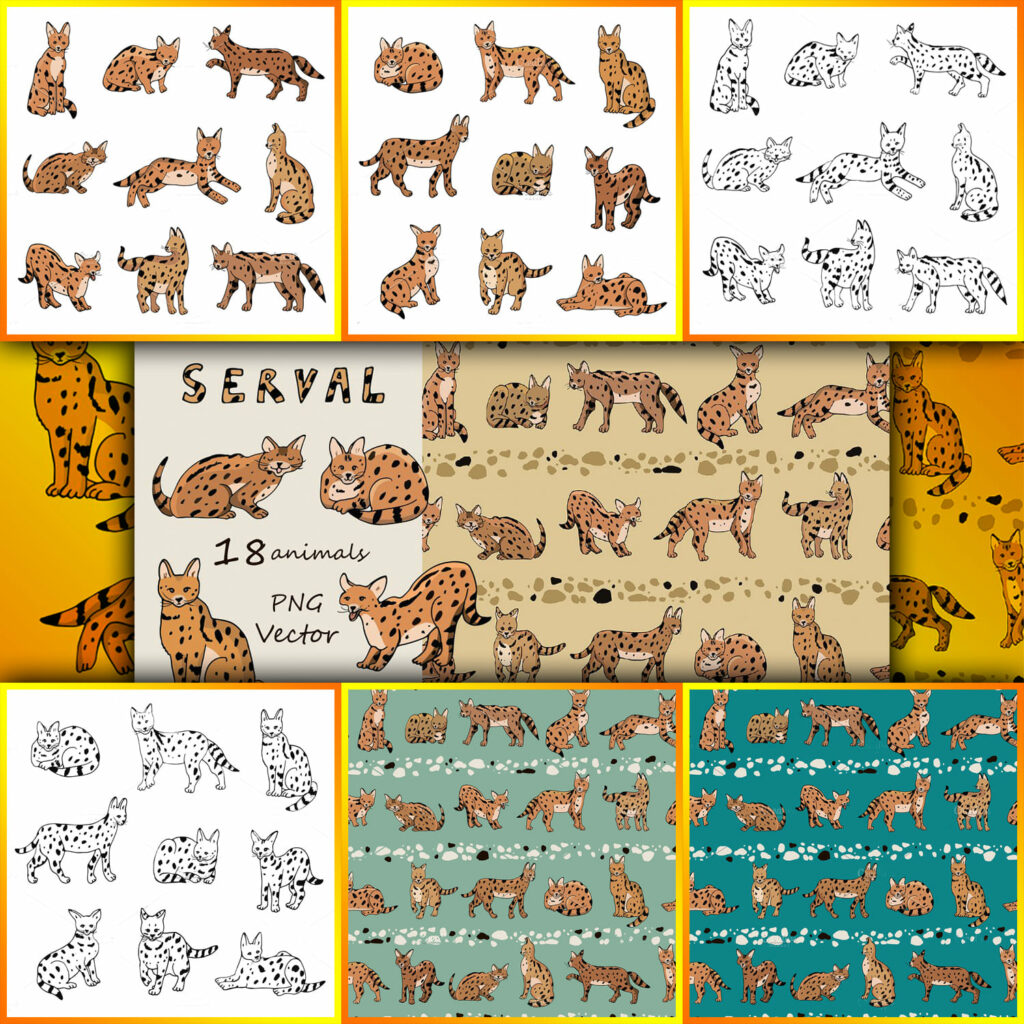 Serval Illustrations Set + Seamless Patterns – MasterBundles