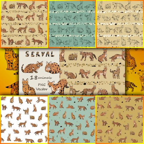 Serval Illustrations Set + Seamless Patterns – MasterBundles