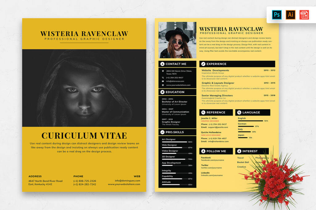 Huge Bundle Professional Resume Templates - MasterBundles
