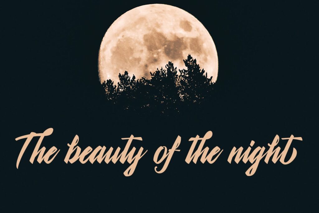 Shanella Stylish Font – MasterBundles