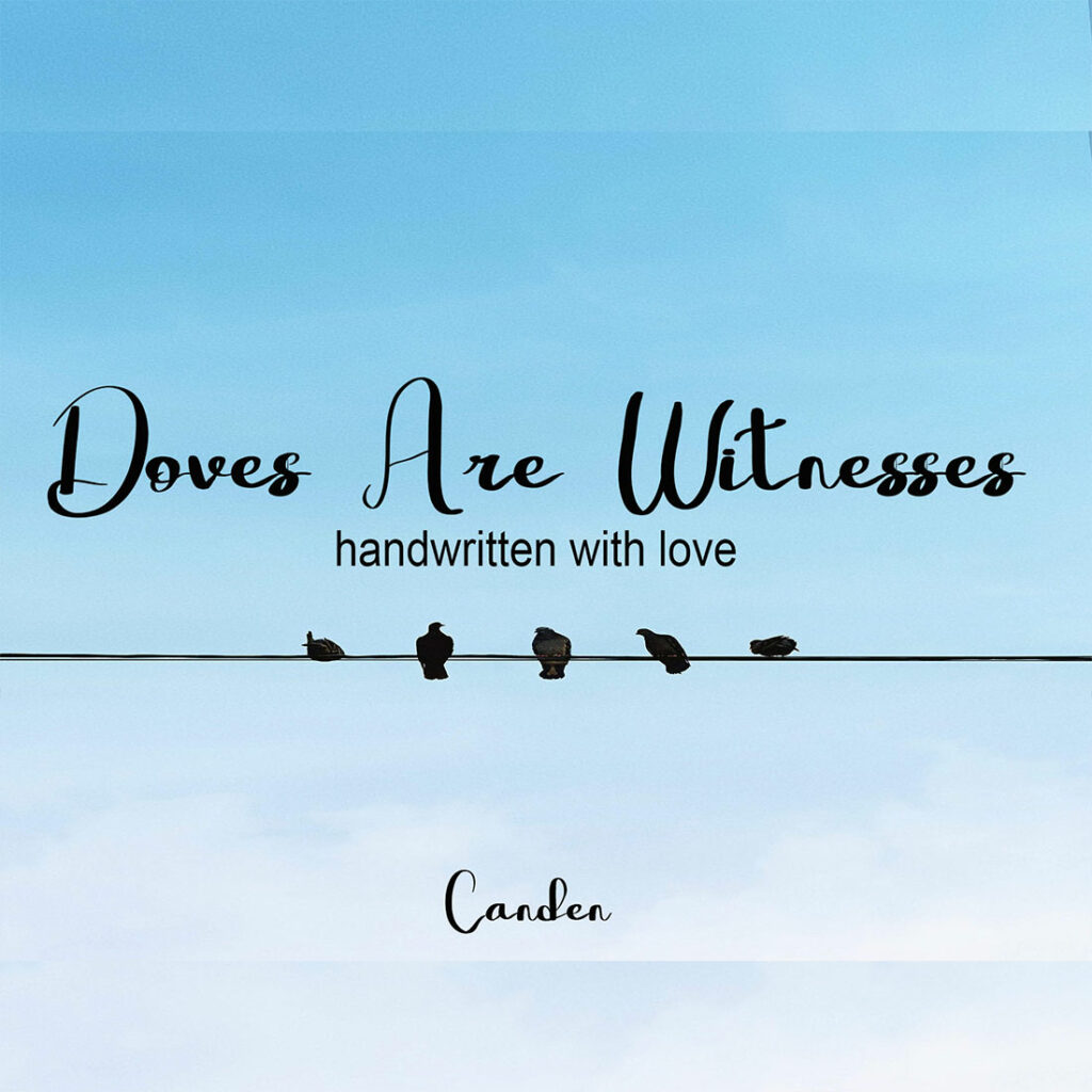 Stylish Font Barakuda Sans Serif Design - MasterBundles