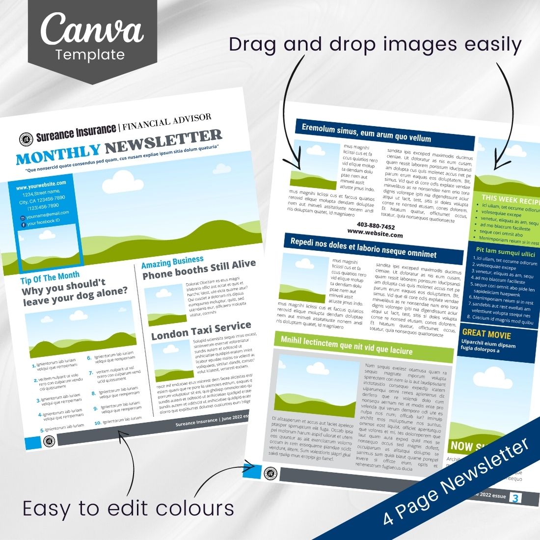 Canva Newsletter Template Financial and Business - MasterBundles