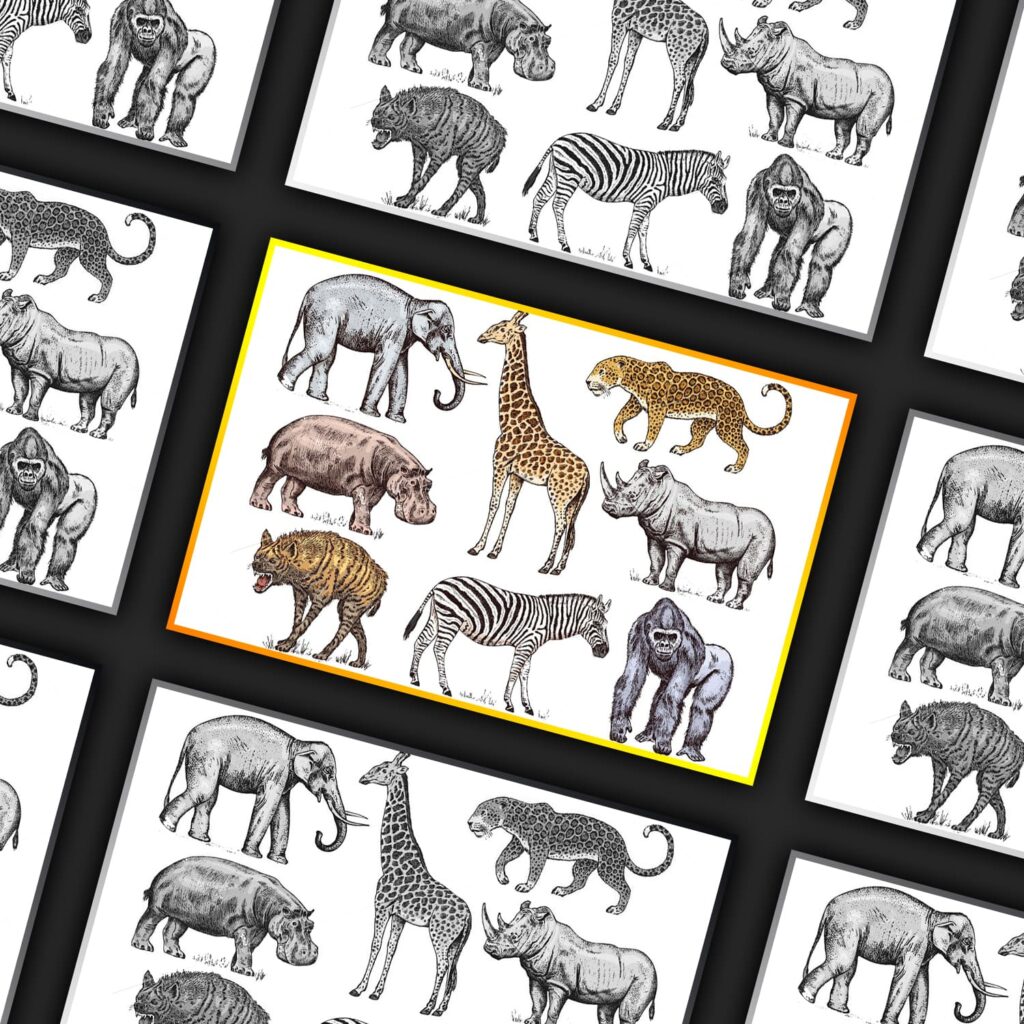 Set of African Animals – MasterBundles