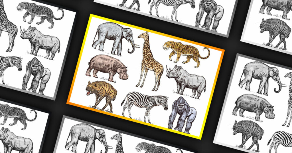 Set of African Animals – MasterBundles
