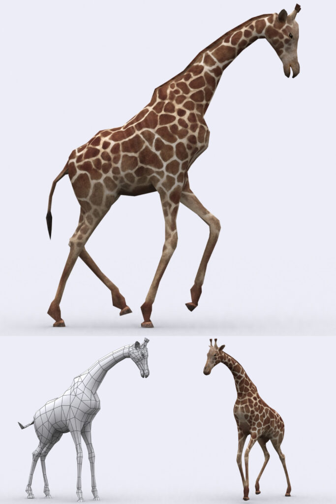 3Drt - Safari animals - Giraffe – MasterBundles