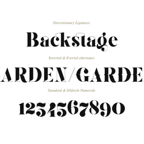 Giaza Pro Font – MasterBundles
