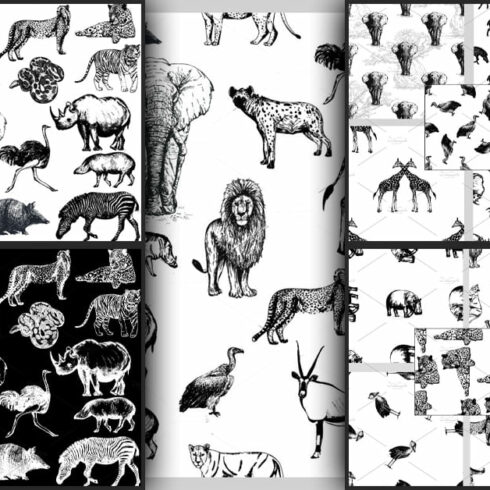 Wild Animals 3 – MasterBundles