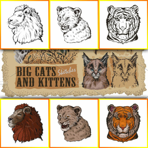 Big Cats. 30 Wild Animals 15 Species – MasterBundles