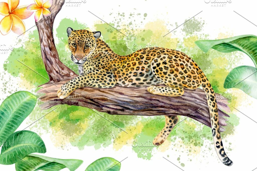Watercolor. Leopards. Wild Cats – MasterBundles