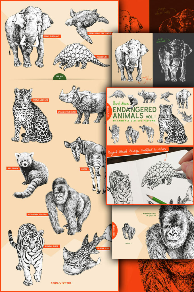 Dotwork Endangered Animals – MasterBundles