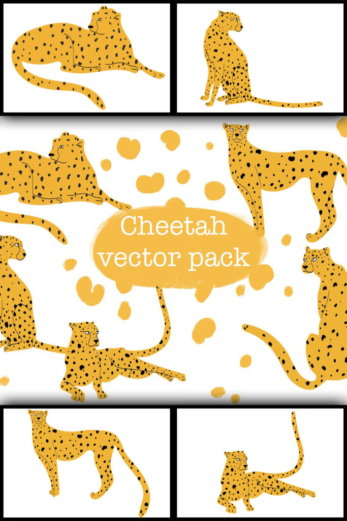 Cheetah Vector Pack – MasterBundles