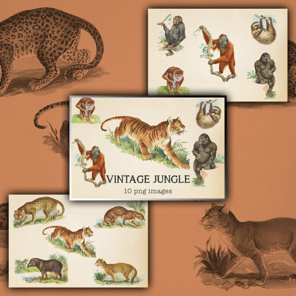 Vintage Jungle Animals – MasterBundles