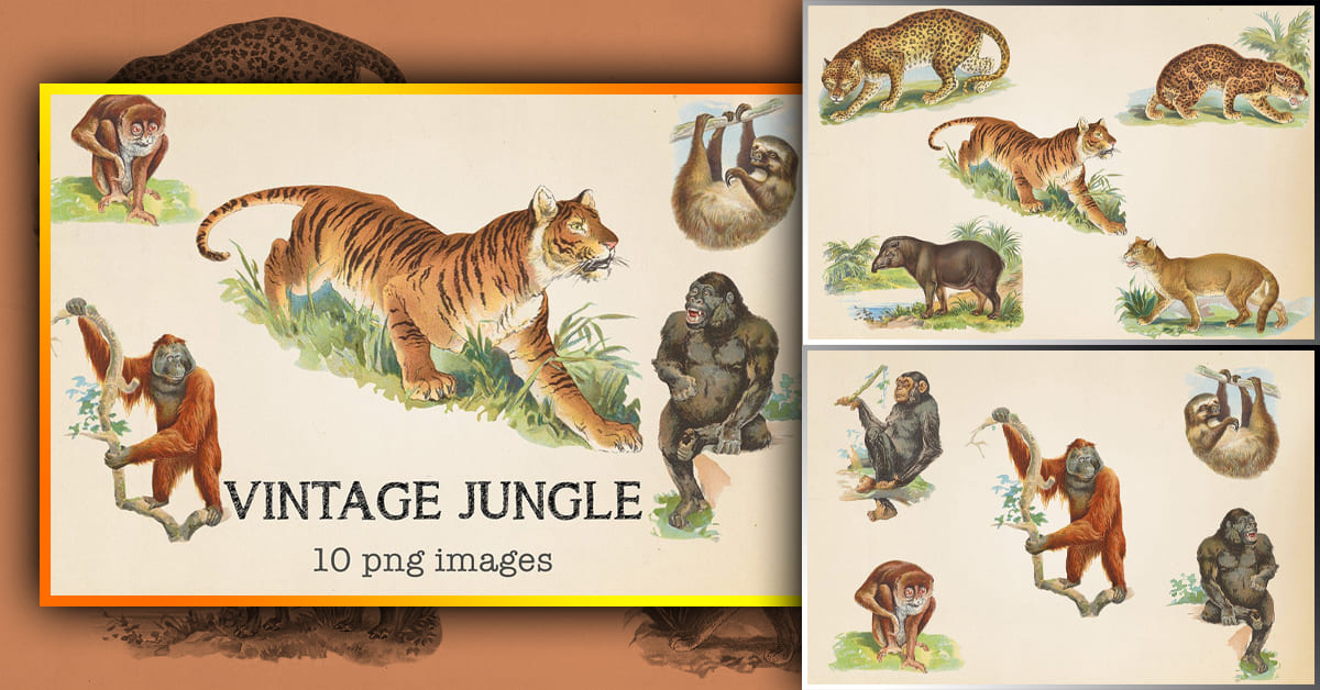 Vintage Jungle Animals – MasterBundles