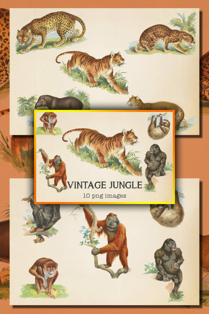 Vintage Jungle Animals – MasterBundles