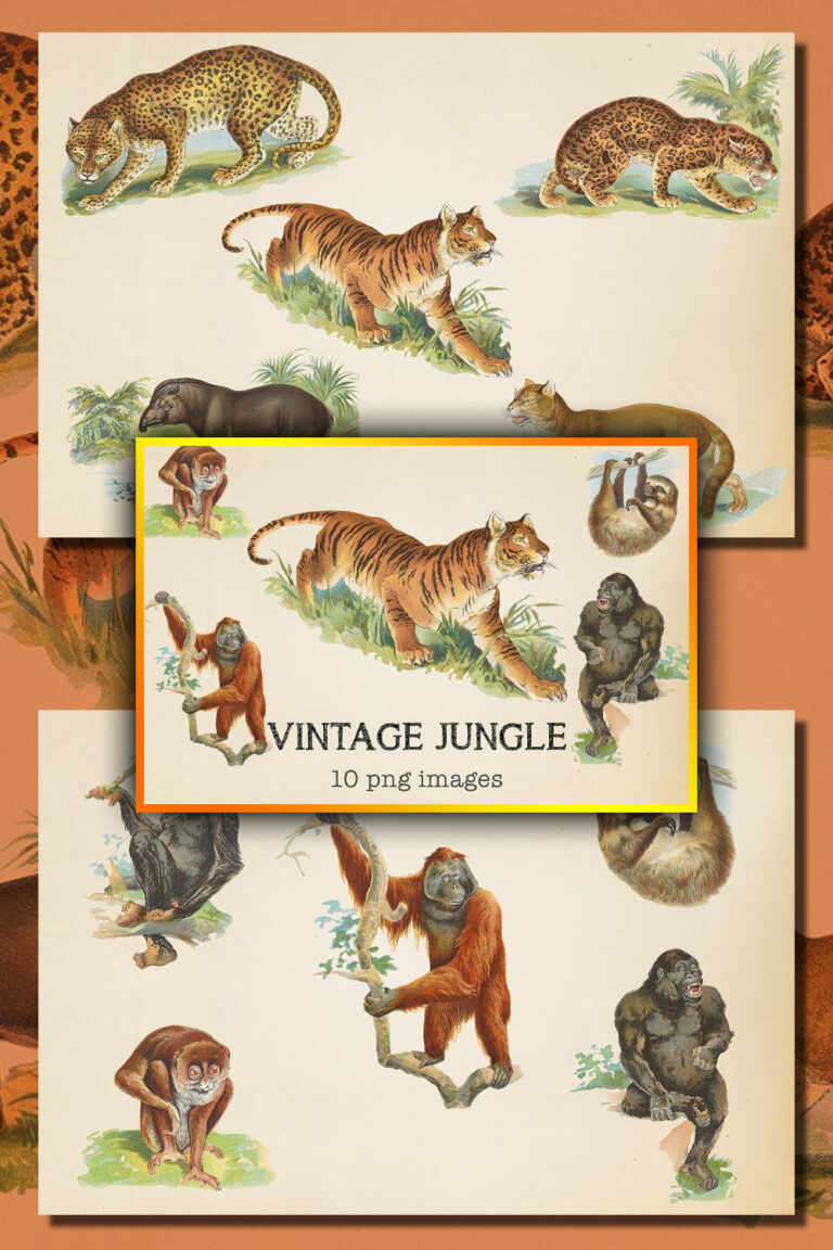 Vintage Jungle Animals – MasterBundles