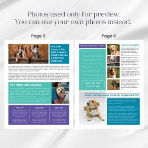 Canva Newsletter Template For Dog Pets - MasterBundles