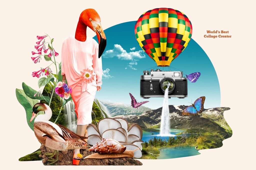 World's Best Collage Creator – MasterBundles