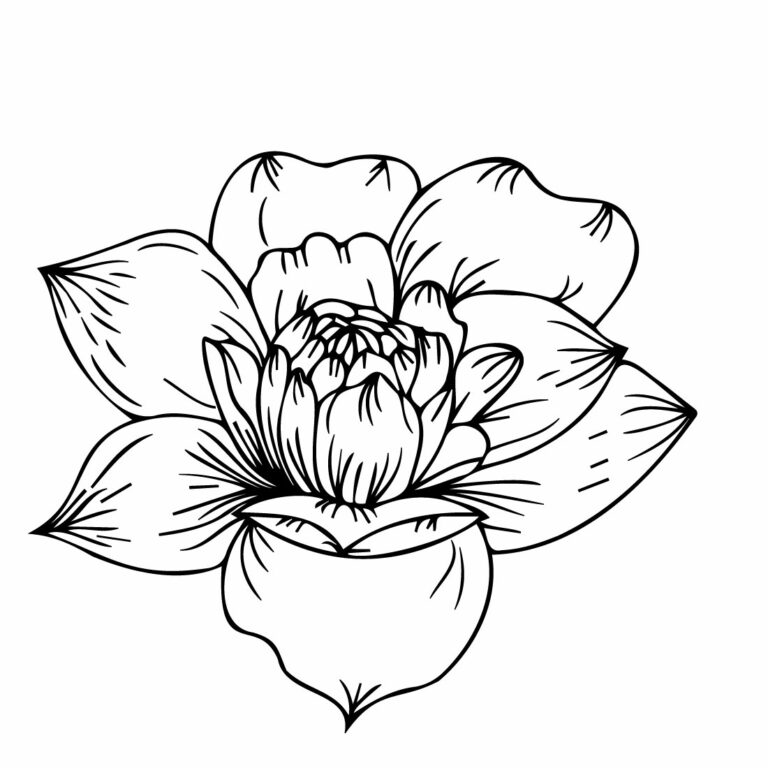 Decorative flower Line Art. Floral composition - MasterBundles