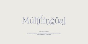 Gather Serif Font with Ligatures and Alternative Glyphs - MasterBundles