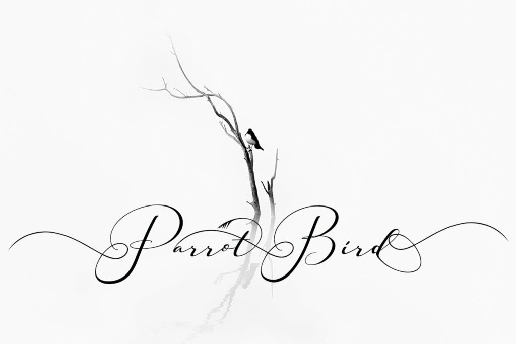 Quick Start Stylish Font – MasterBundles