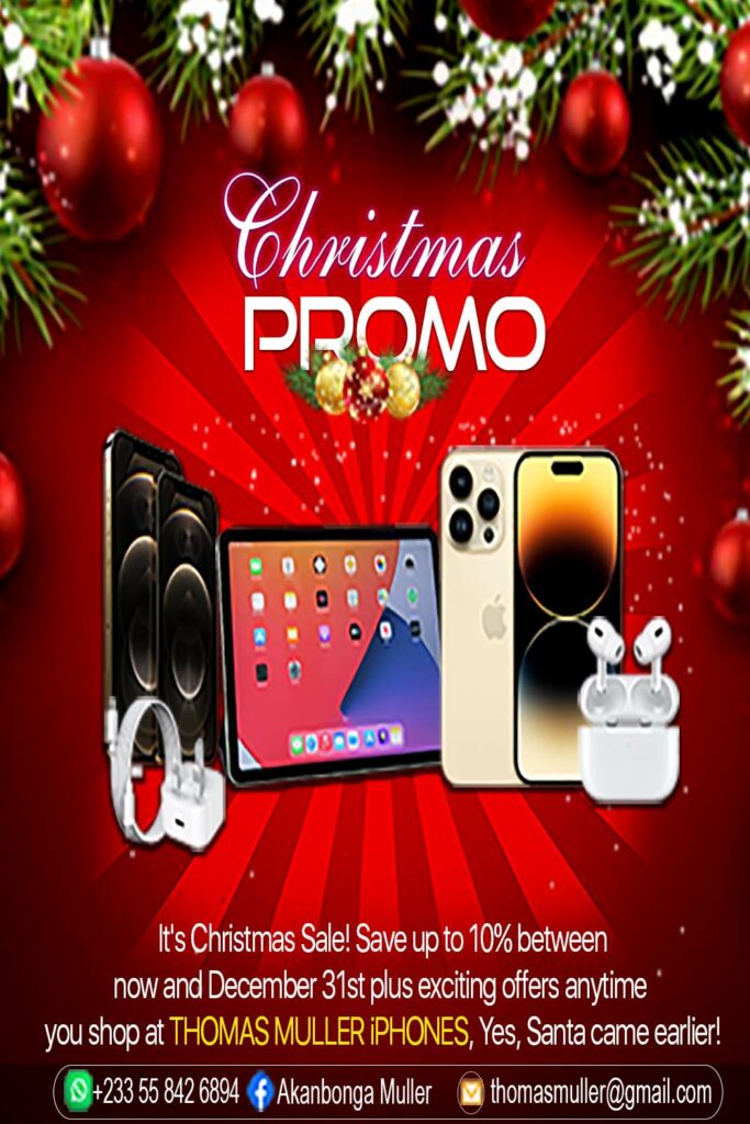 Christmas Promo Flyer - MasterBundles