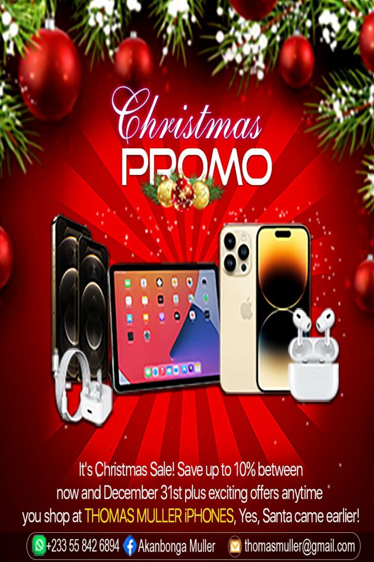 Christmas Promo Flyer - MasterBundles