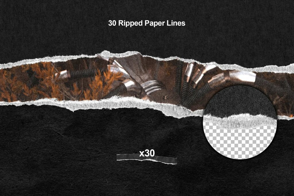 Ripped Paper Lines & Circles – MasterBundles