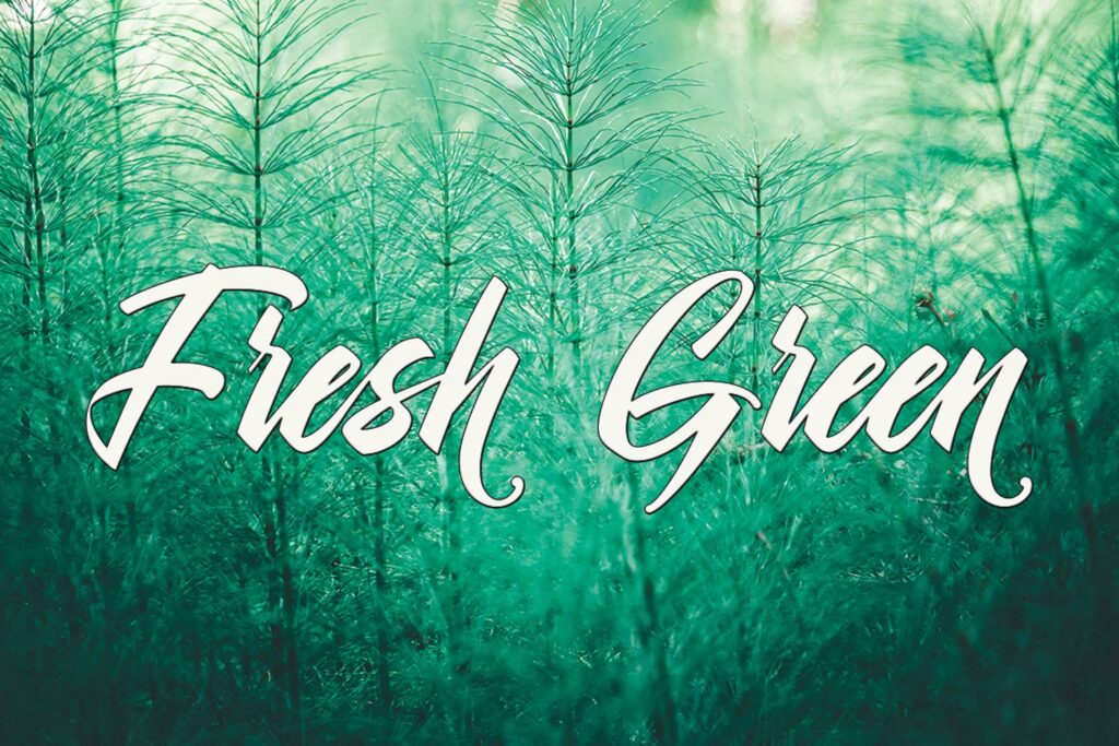 Shanella Stylish Font – MasterBundles