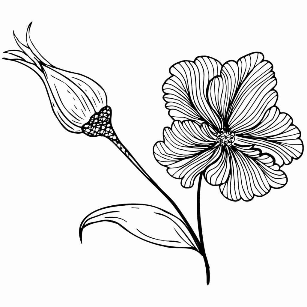 Floral Arrangement in the Style of Line Art - MasterBundles