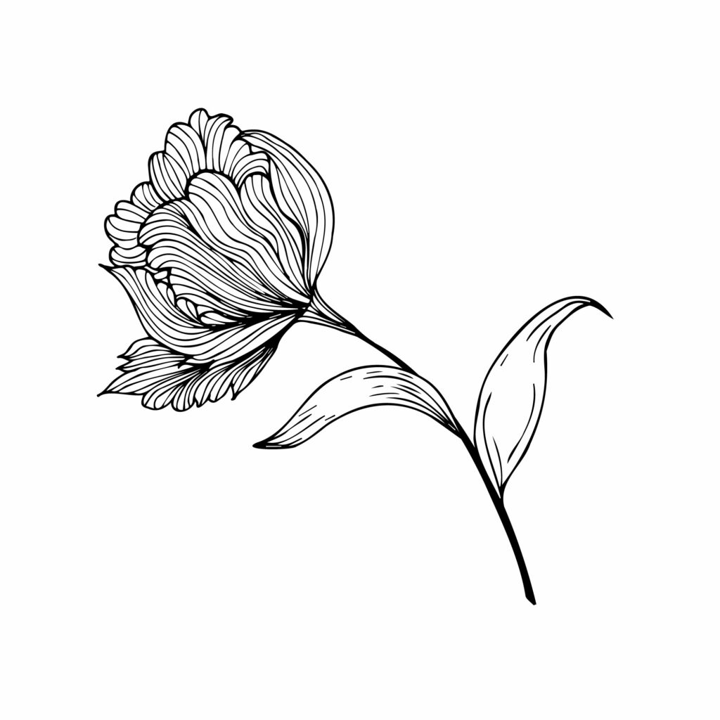 Beautiful Flower Hand drawing Arrangement - MasterBundles