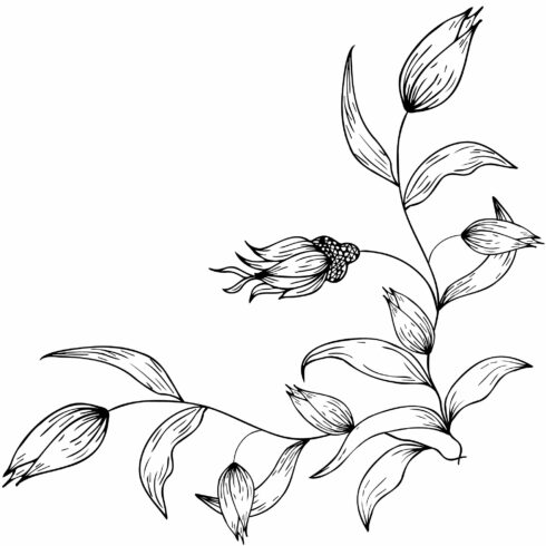 Beautiful Flower Hand drawing Arrangement - MasterBundles
