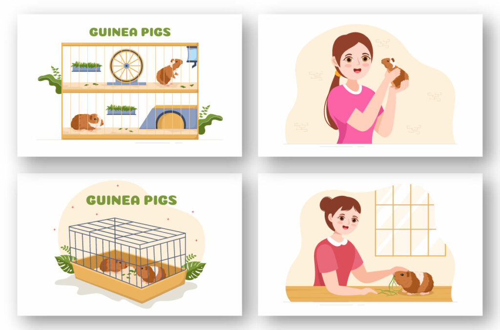 10 Guinea Pig Pets Illustration - MasterBundles