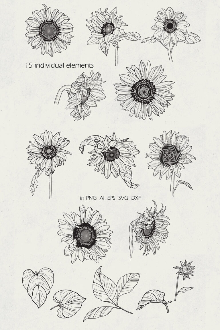 Sunflower Line Art Collection - MasterBundles
