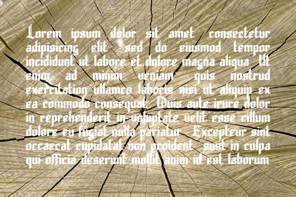 Lumberjack Font – MasterBundles