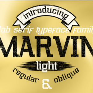 Marvin Light Font – MasterBundles