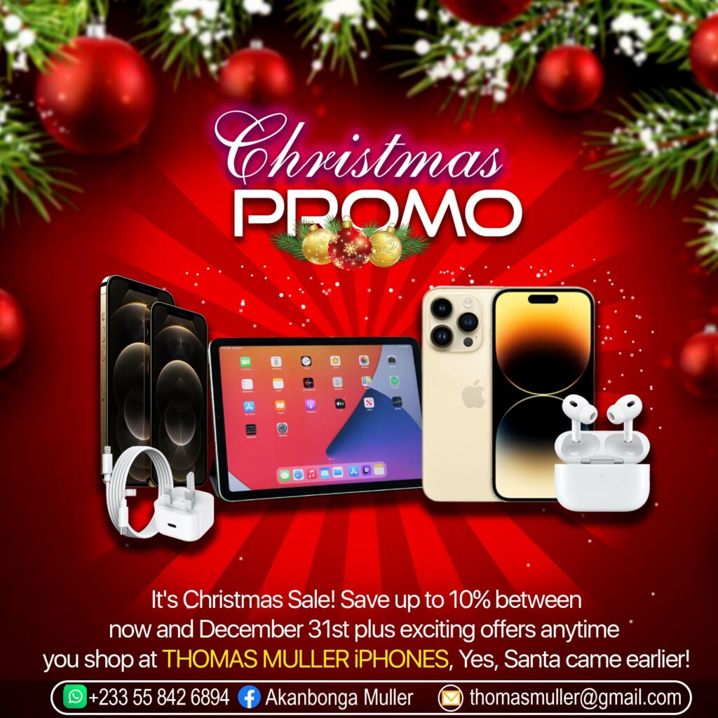 Christmas Promo Flyer - MasterBundles