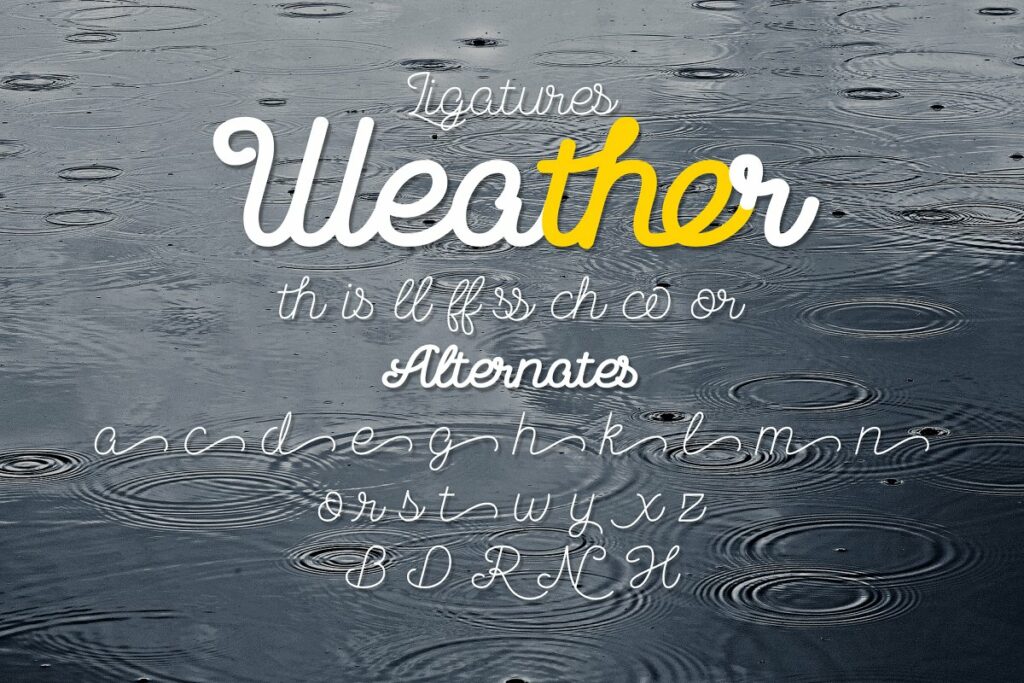 November Rain Font – MasterBundles