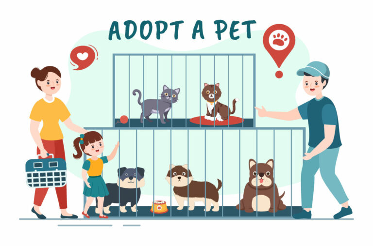 15 Pet Adopt Illustration - MasterBundles