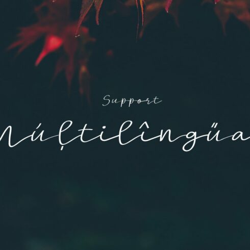 Pamela Script Font | Master Bundles