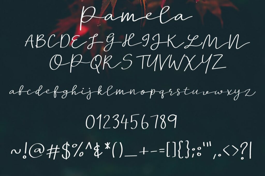 Pamela Script Font – MasterBundles