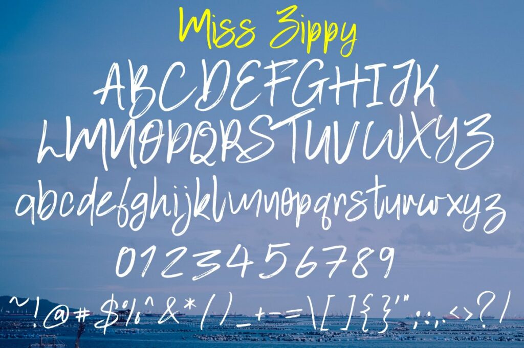 Miss Zippy Chic Typeface – MasterBundles