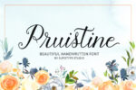 Pruistine Script Font – MasterBundles