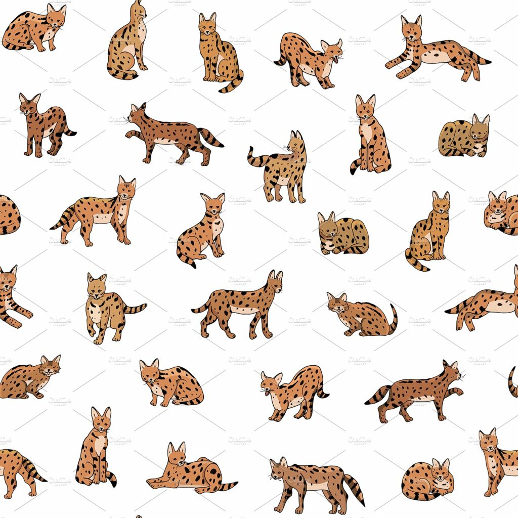 Serval Illustrations Set + Seamless Patterns – MasterBundles
