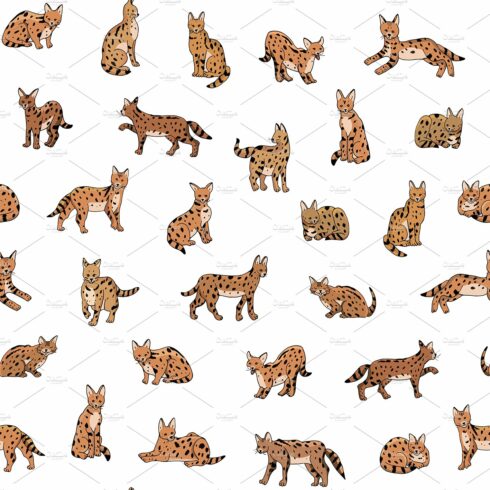 Serval Illustrations Set + Seamless Patterns – MasterBundles