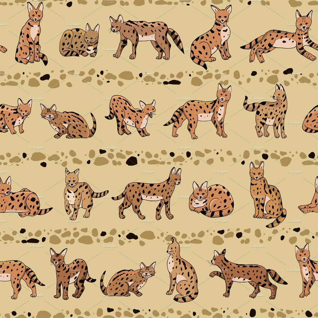 Serval Illustrations Set + Seamless Patterns – MasterBundles