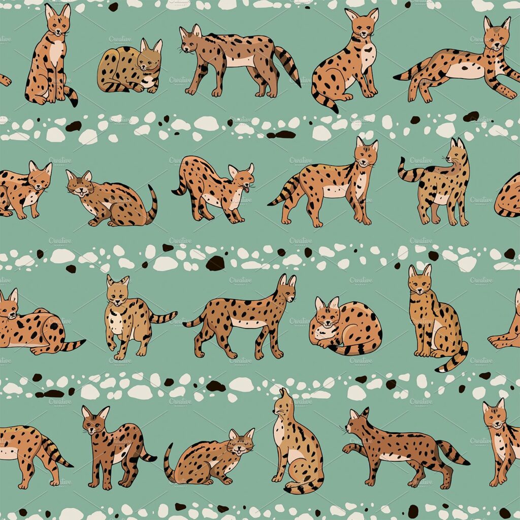 Serval Illustrations Set + Seamless Patterns – MasterBundles