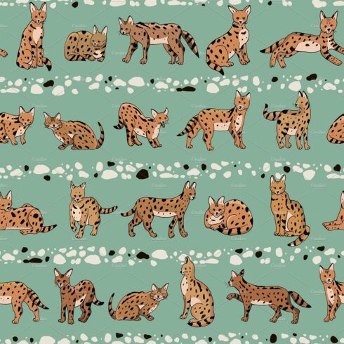 Serval Illustrations Set + Seamless Patterns – MasterBundles