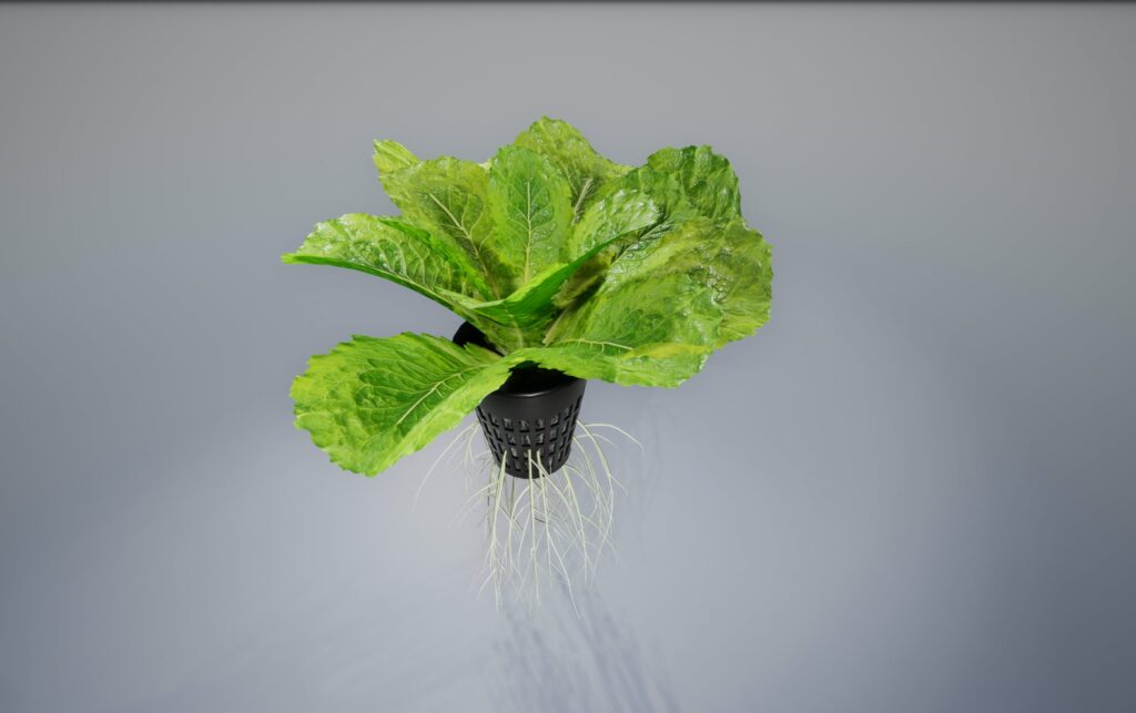 Lettuce Grean – MasterBundles