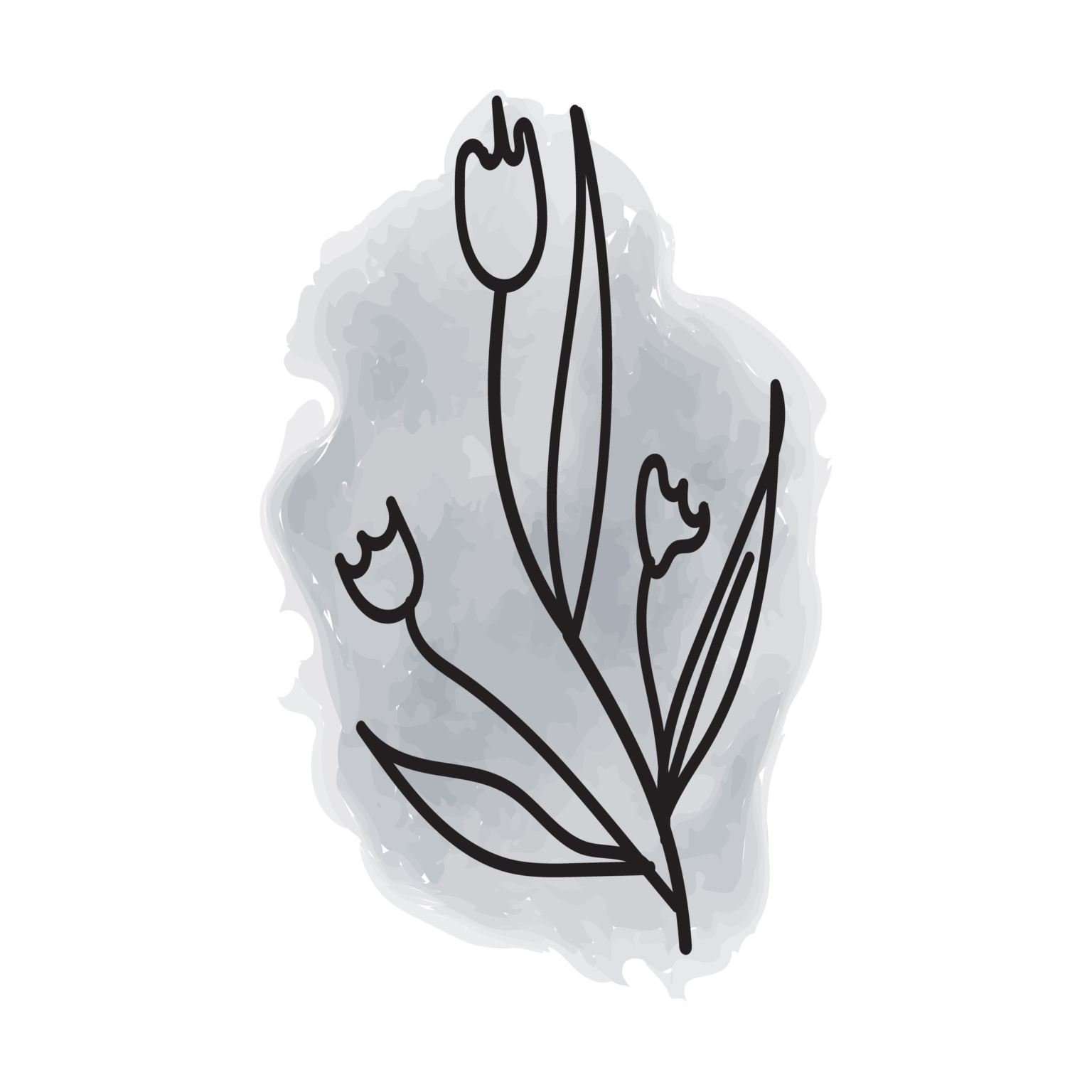 50 Minimal Boho Floral PNG Bundle - MasterBundles