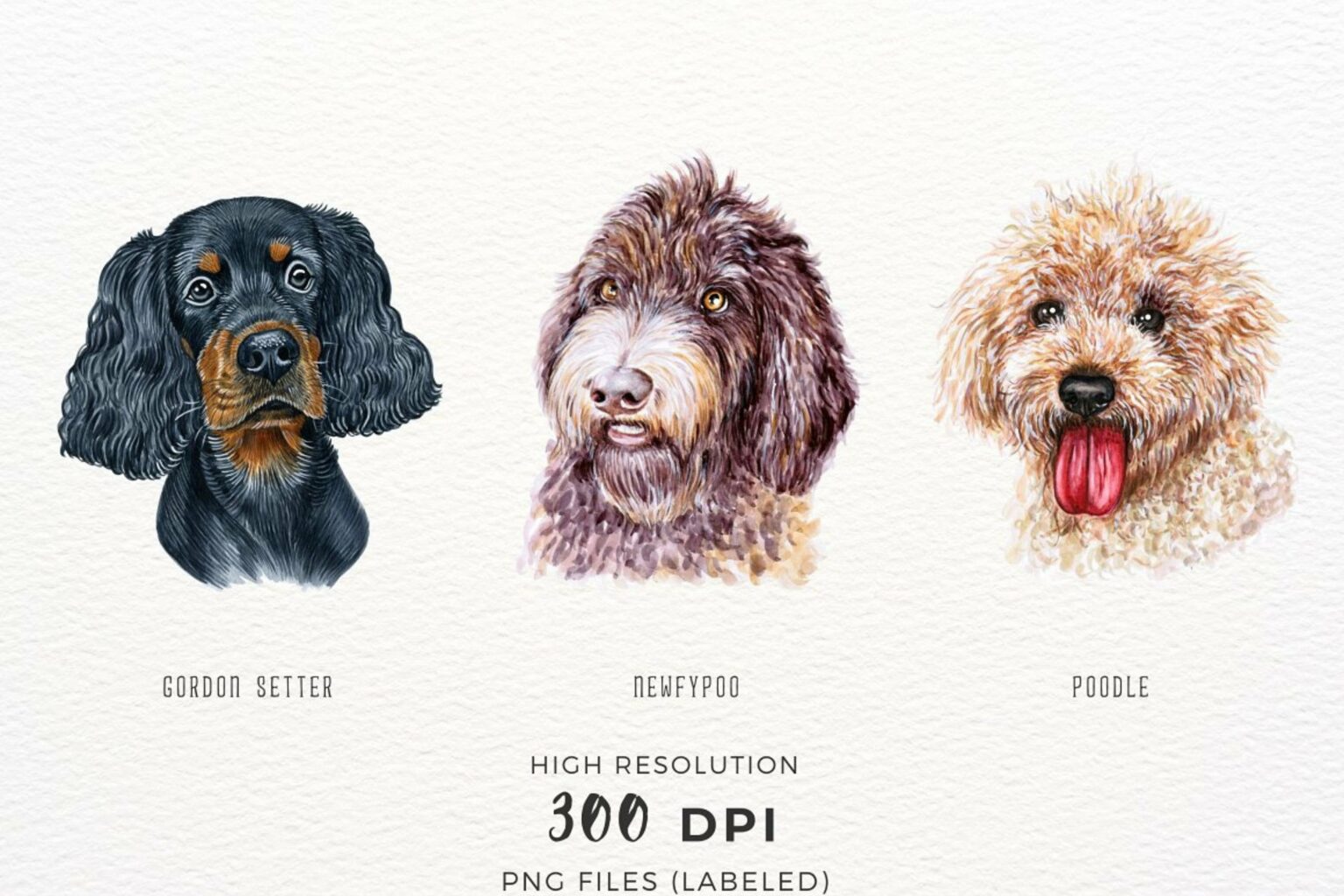 70+ Watercolor Dog Breeds – MasterBundles
